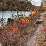 Guided Hike Along the Niagara River Gorge to Power Plant Ruins - Practical Details and Logistics