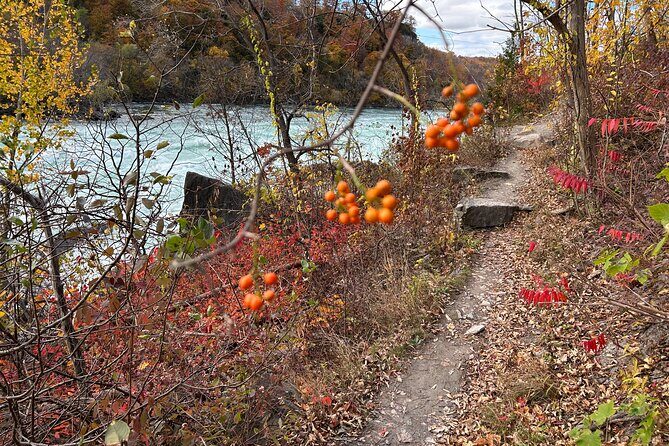 Guided Hike Along the Niagara River Gorge to Power Plant Ruins - Practical Details and Logistics