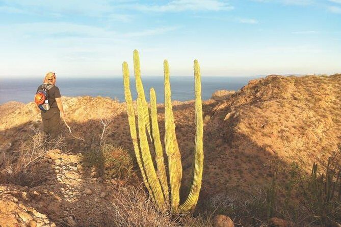 Guided Hike in Tabor Canyon - Key Points