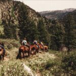 Guided Horseback Trail Rides - Why Choose This Experience?