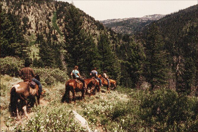 Guided Horseback Trail Rides - Why Choose This Experience?