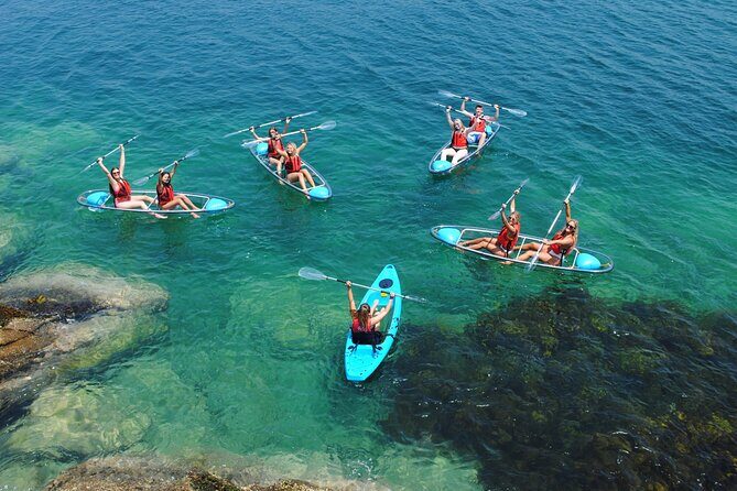 Guided Kayak Tour of Manly Cove Beaches - Who Should Consider This Tour?
