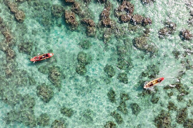 Guided Kayak Tour to Kailuas Twin Islands - The Value of the Kailua Kayak Tour