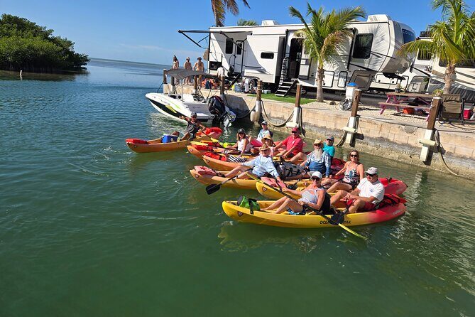 Guided Mangrove Eco Tours Kayak or Paddleboard Adventure - Why Price Reflects Value