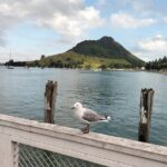 Guided Mori History and Culture Tour to Rotorua and Tauranga - Authentic Maori Guides and Personal Stories