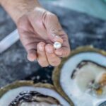 Guided Paspaley Pearl Farm Tour with Return Transfers - Detailed Breakdown of the Tour Experience