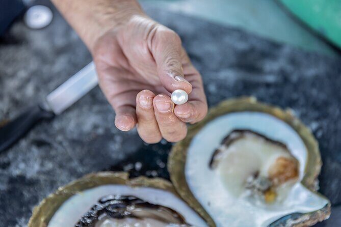Guided Paspaley Pearl Farm Tour with Return Transfers - Detailed Breakdown of the Tour Experience