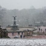 Guided Pedicab Tour in Central Park - Why Choose This Pedicab Tour?
