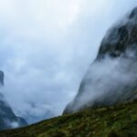 Guided Private Milford Sound Day Tour from Te Anau(Cruise In - What Makes This Tour Stand Out?