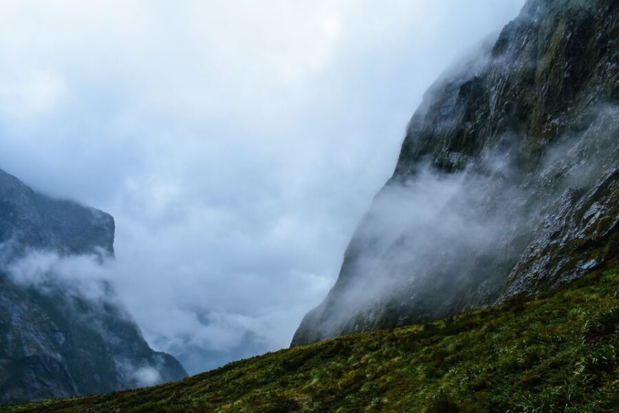 Guided Private Milford Sound Day Tour from Te Anau(Cruise In - What Makes This Tour Stand Out?