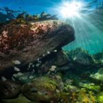Guided Snorkel Tour at Australias most iconic beach - Who Should Consider This Tour?