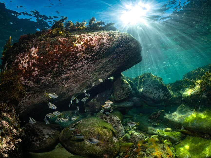 Guided Snorkel Tour at Australias most iconic beach - Who Should Consider This Tour?