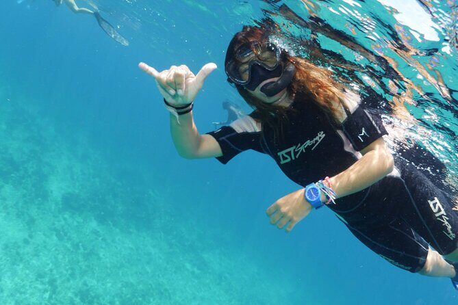 Guided Snorkel Tour - Practical Considerations and Value for Money