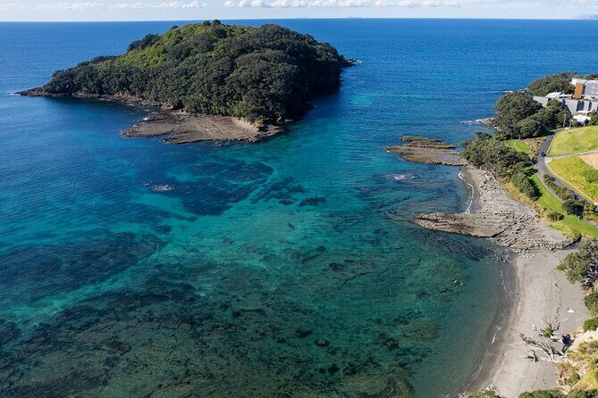 Guided Snorkeling for Beginner - Who’s This Tour Best For?