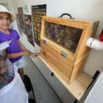 Guided tour « from the bee to the bottle » with tasting - English - Authenticity and Unique Insights