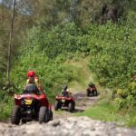 Guided Tour of Bora Bora by Quad - What the Reviews Say