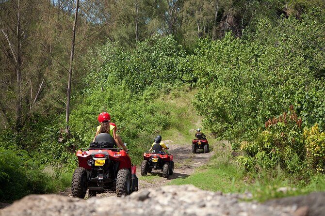 Guided Tour of Bora Bora by Quad - What the Reviews Say