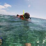 Guided Tour of Puerto Morelos Reefs with Snorkeling Experience - Flaws and Considerations