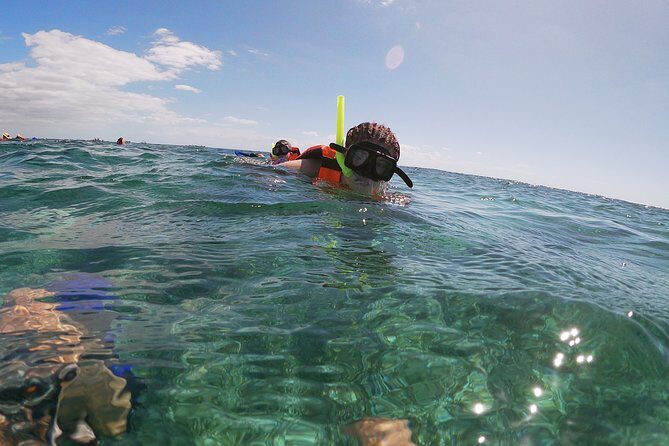 Guided Tour of Puerto Morelos Reefs with Snorkeling Experience - Flaws and Considerations