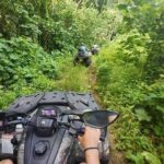 Guided tour of the island and its escapades in Tahaa by Quad / ATV - Who Should Consider This Tour?