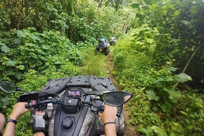 Guided tour of the island and its escapades in Tahaa by Quad / ATV - Who Should Consider This Tour?