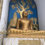 Guided Tour to explore the entire Pokhara City - Final Thoughts