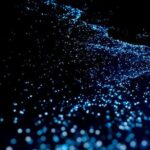 Guided Tour with Horseback Riding and Bioluminescence in Puerto Escondido - What’s Included and What to Consider