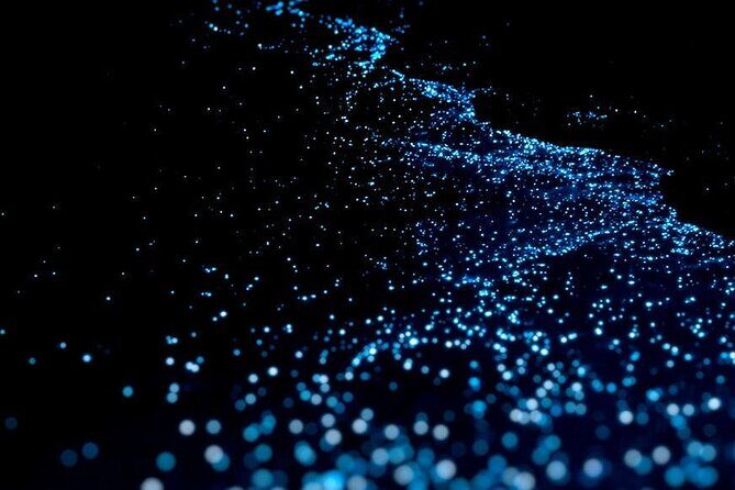 Guided Tour with Horseback Riding and Bioluminescence in Puerto Escondido - What’s Included and What to Consider