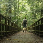 Guided trekking in the natural beauty of Cuc Phuong National Park - Is It Worth the Price? Analyzing the Value