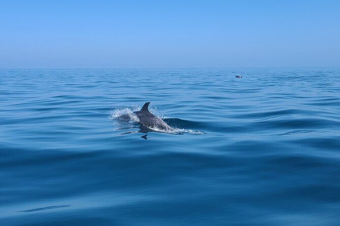 Guided Two hours Jetski Coastal Tour - What Makes This Tour Stand Out?