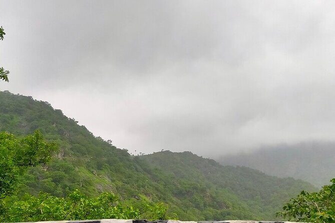 Guided Udaipur Sightseeing Tour - A Close Look at the Itinerary