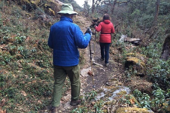 Guided Village walk with Stories in Dharamsala - The Value of the Experience