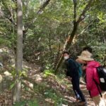 Guided Walking Ohenro Pilgrimage Experience in Dogo Hot Spring - The Overall Value