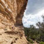 Guided Walking Tour in the Blue Mountains - Hidden Treasures - The Value of This Experience
