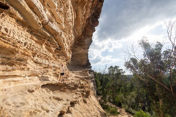 Guided Walking Tour in the Blue Mountains - Hidden Treasures - The Value of This Experience