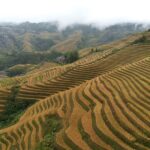 Guilin: Day tour of Longji Rice Terraces and Yangshuo - Authenticity and Cultural Insights