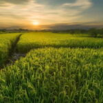 Guilin: Huixian Wetland Boat Ride & Glass Fields Tour - What Travelers Say About This Tour