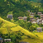 Guilin Longji: Rice Terrace with Oil-Tea Demo & Zhuang Lunch - Breaking Down the Longji Experience