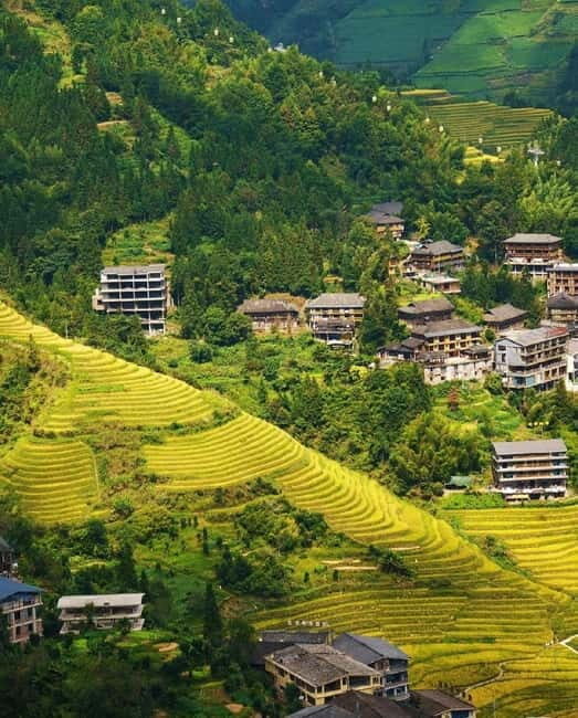 Guilin Longji: Rice Terrace with Oil-Tea Demo & Zhuang Lunch - Breaking Down the Longji Experience