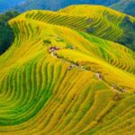 Guilin Longji Terraces Private Day Tour - The Real Experience: Benefits and Drawbacks
