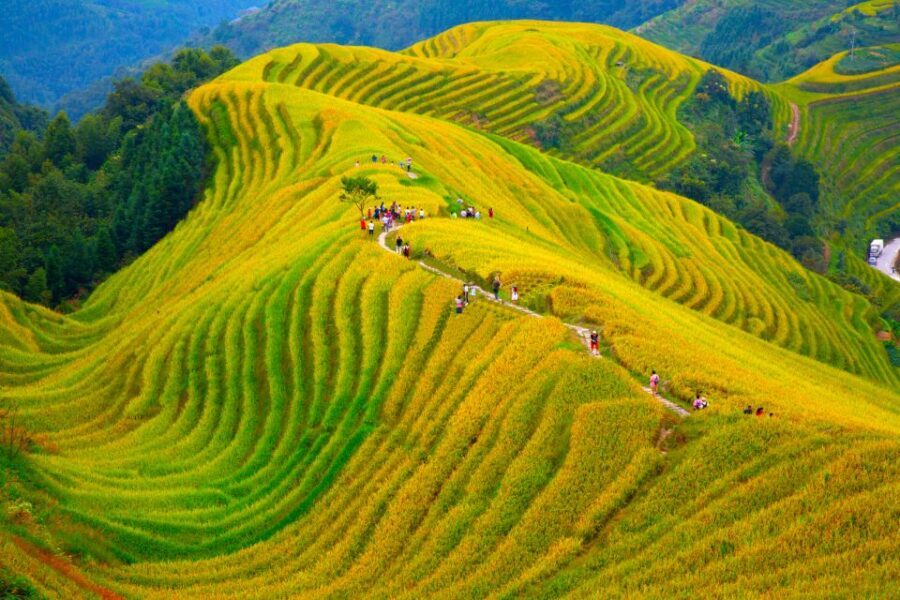 Guilin Longji Terraces Private Day Tour - The Real Experience: Benefits and Drawbacks