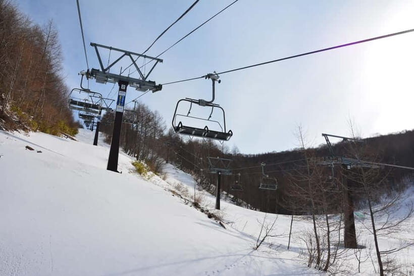 Gunma: Day Trip to Kawaba Ski Resort from Shinjuku - Who Will Love This Tour?