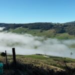Gunns Pains Caves Sightseeing Tour - Practical Tips for Travelers