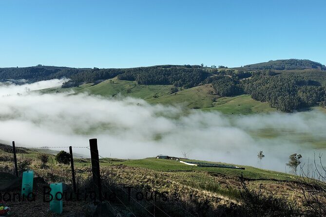 Gunns Pains Caves Sightseeing Tour - Practical Tips for Travelers
