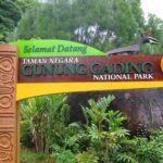 Gunung Gading National Park Tour - Who Will Appreciate This Tour?