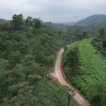 Guwahati Tea Garden tour @ Amchong - Authentic Reviews: What Travelers Say