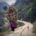 Ha Giang: 2-Day Motorbike Tour with Accommodation - The Experience and What You’ll Feel