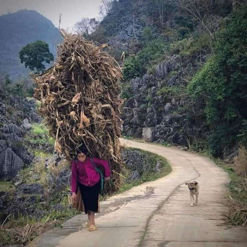 Ha Giang: 2-Day Motorbike Tour with Accommodation - The Experience and What You’ll Feel