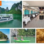 Ha Long 5-Star Cruise (Safe & Comfortable Big-Small Group) - What to Expect from the Day