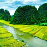 Ha Long Bay And Hoa Lu -Tam Coc -Mua Cave in 2 different days - Detailed Reflection: What These Experiences Mean for You